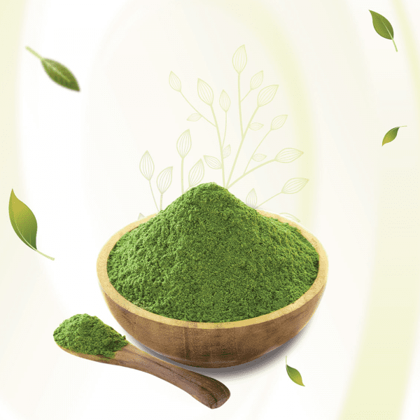 Unlocking the Power of Neem Powder: Benefits and Uses